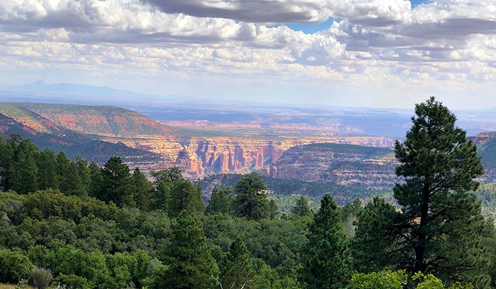 Moab to Lake Powell Mountain Biking | Hermosa Tours - Mountain Bike Tours